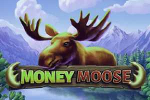 Money Moose ‣ Jeu gratuite démo